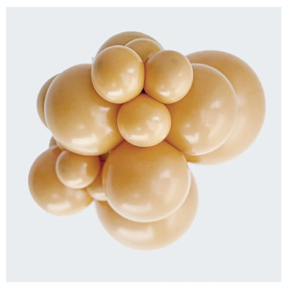 Sempertex Latte Latex Balloons - Party Love