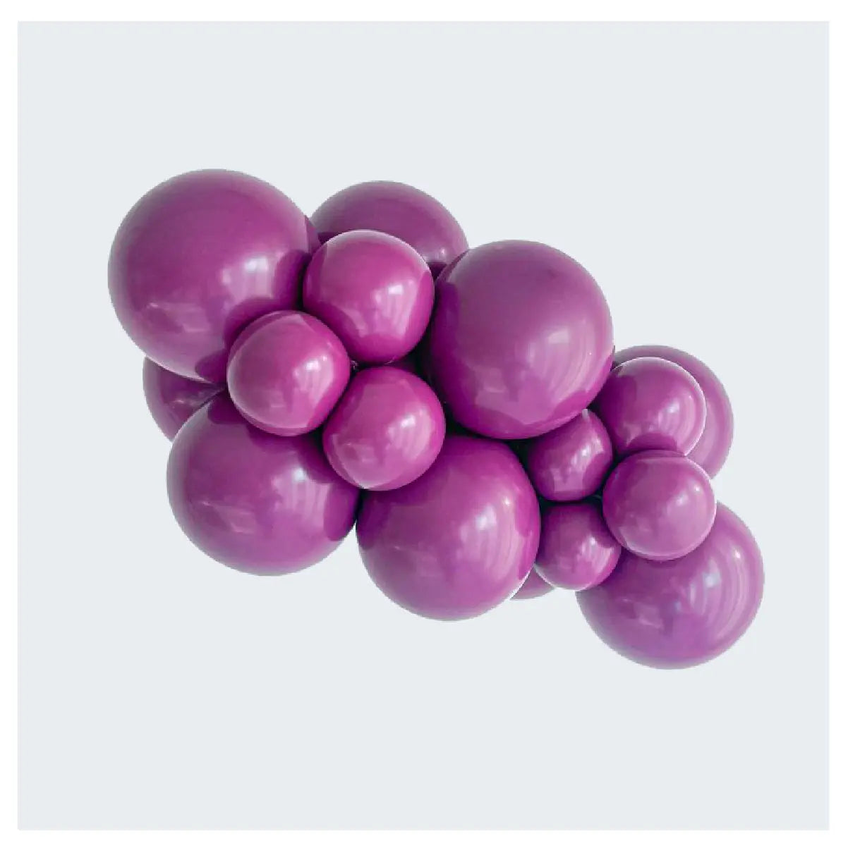 Sempertex Purple Orchid Latex Balloons - Party Love